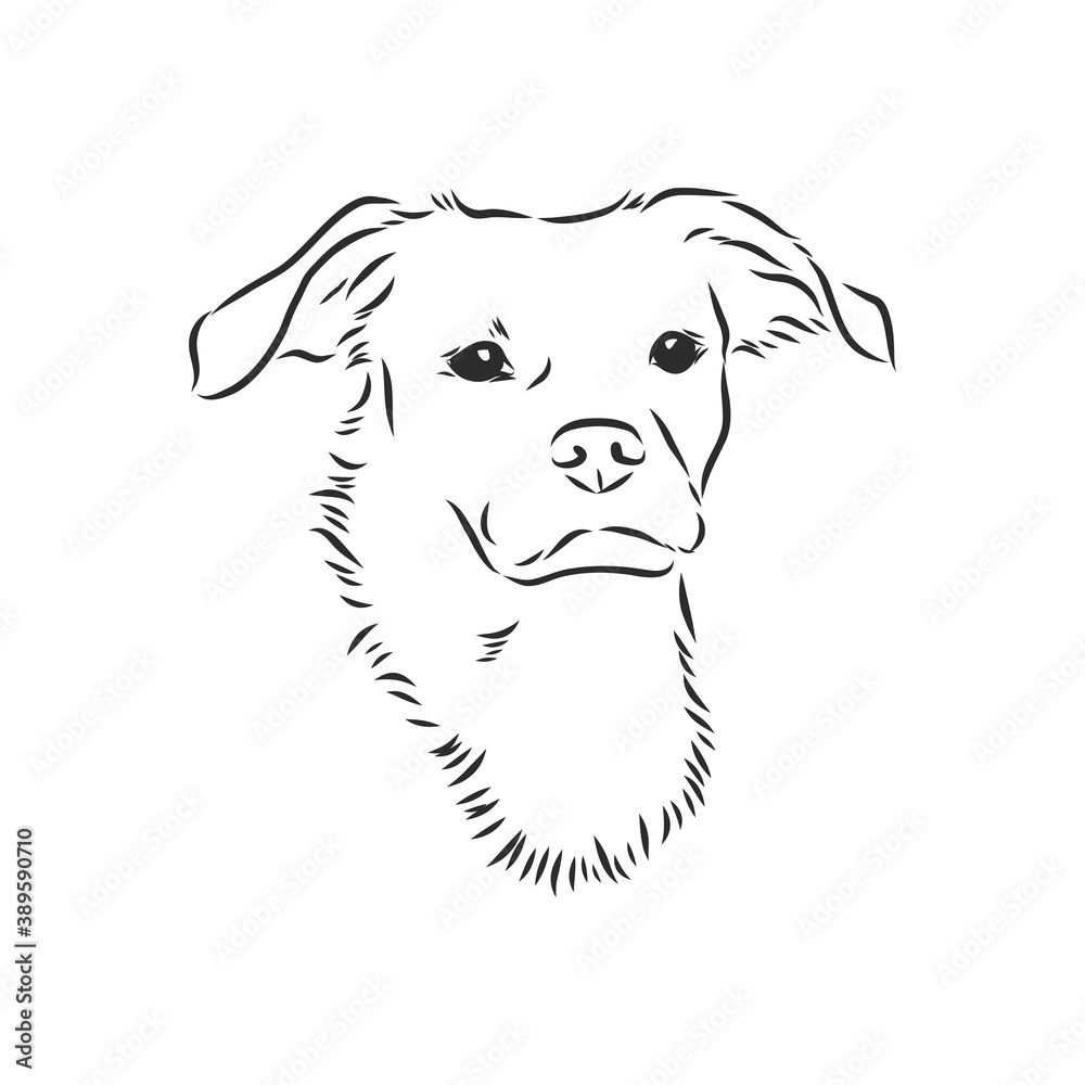 Fluffy mongrel dog vector hand drawing illustration in black color ...