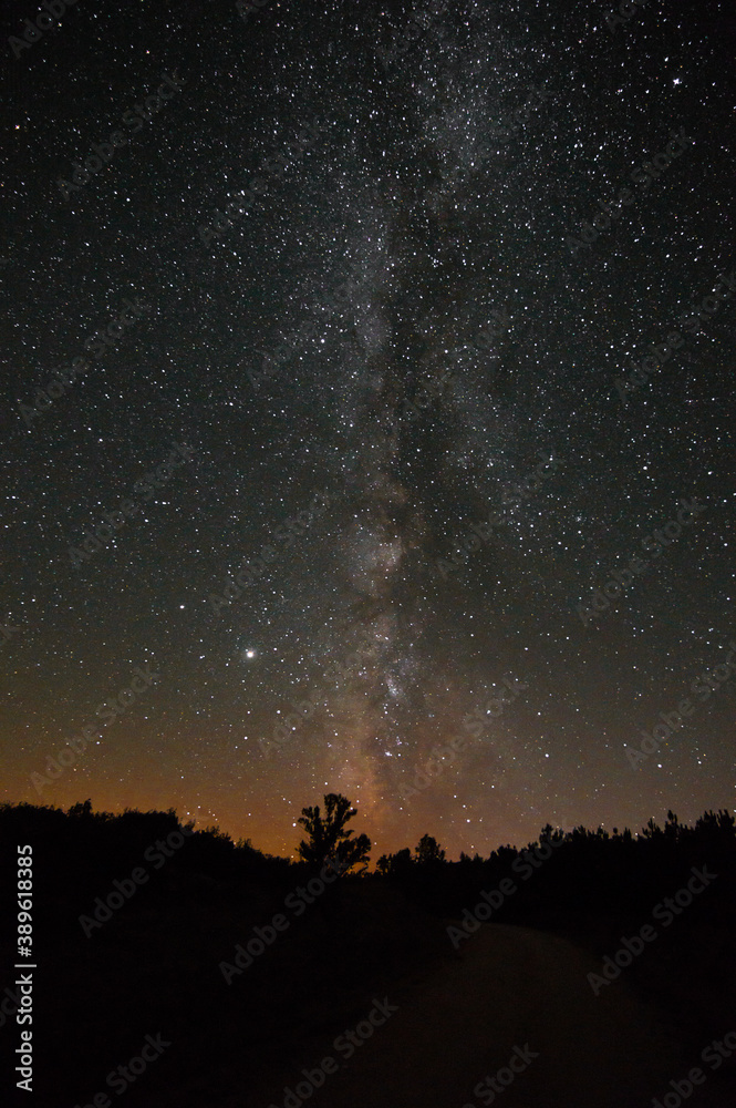 Starry sky in summer night with the Milky Way and great variety of ...