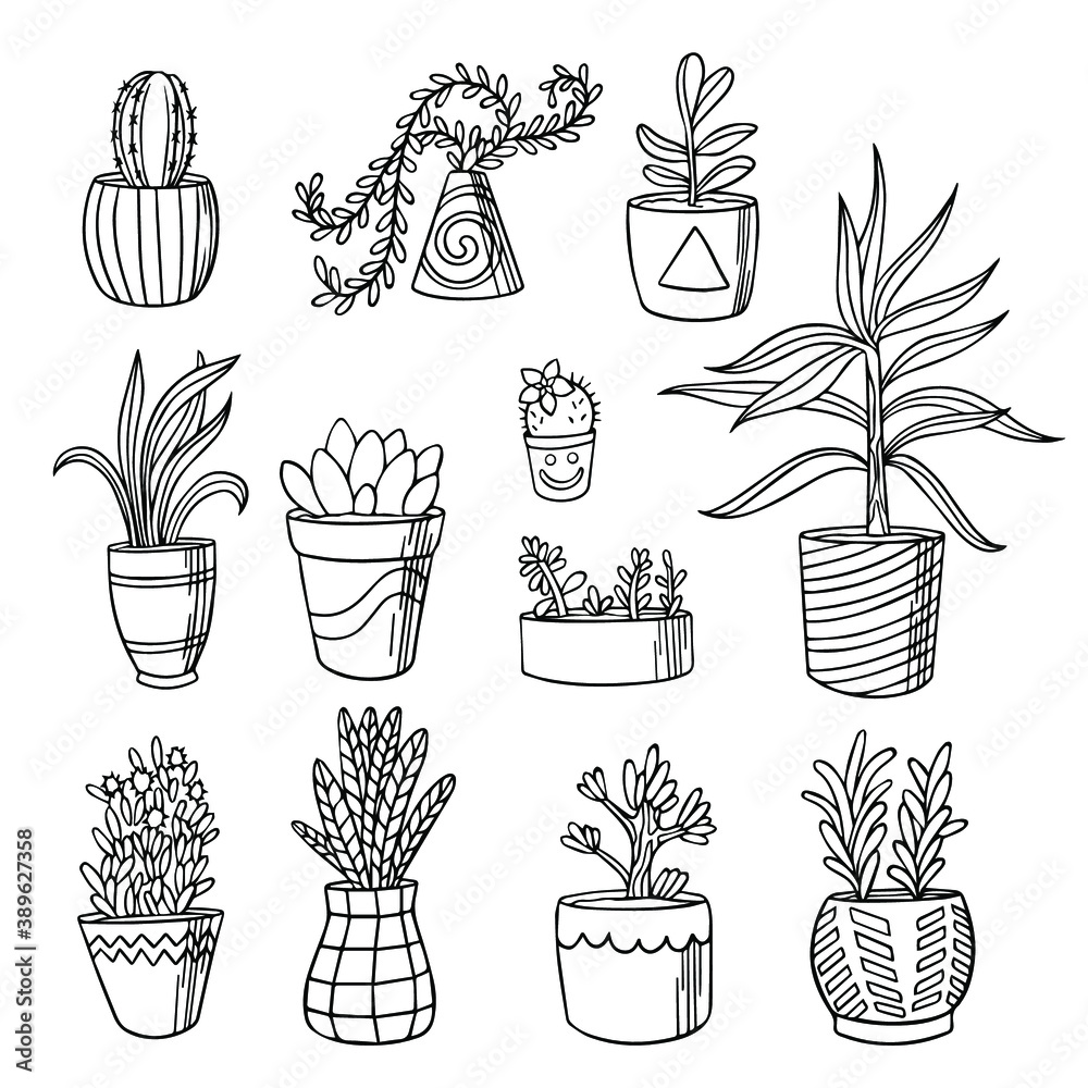 Zentangle Plants