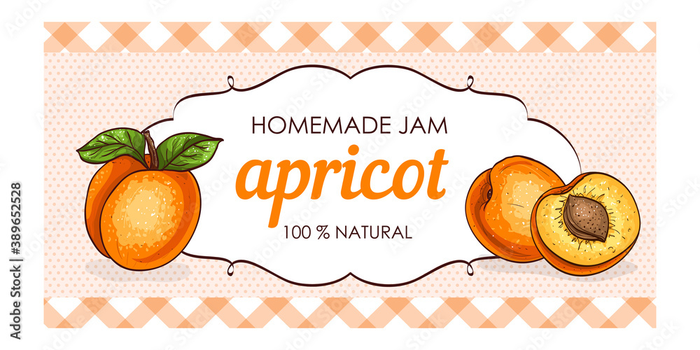 Healthy homemade apricot jam marmalade paper label vector illustration ...