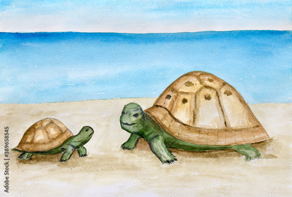 Turtles on the seashore. Drawing of mom and her child. Art illustration ...