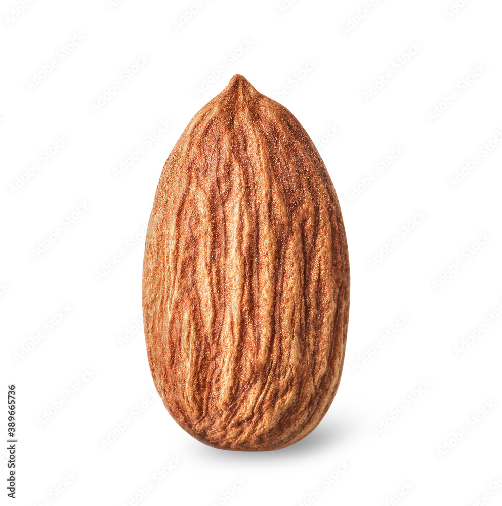 One Almond Nut