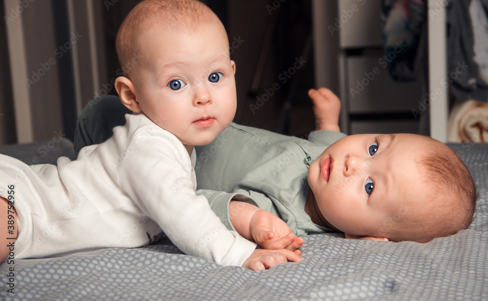 Two twin babies. Brother and sister. Five-month smiling girl and boy in ...