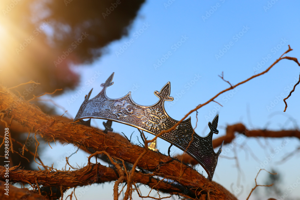 mysterious and magical photo of king crown in the England woods over ...