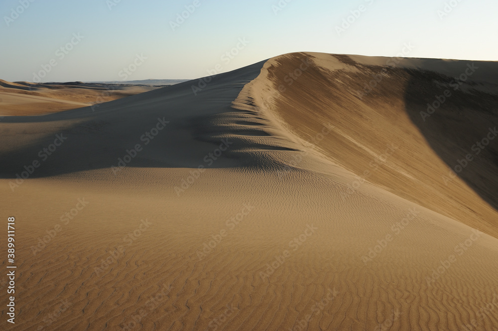Intriguing dune shapes in the old sand of the Namib Desert Stock Photo ...