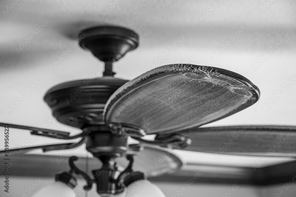 dust buildup on blade of ceiling fan Stock Photo | Adobe Stock