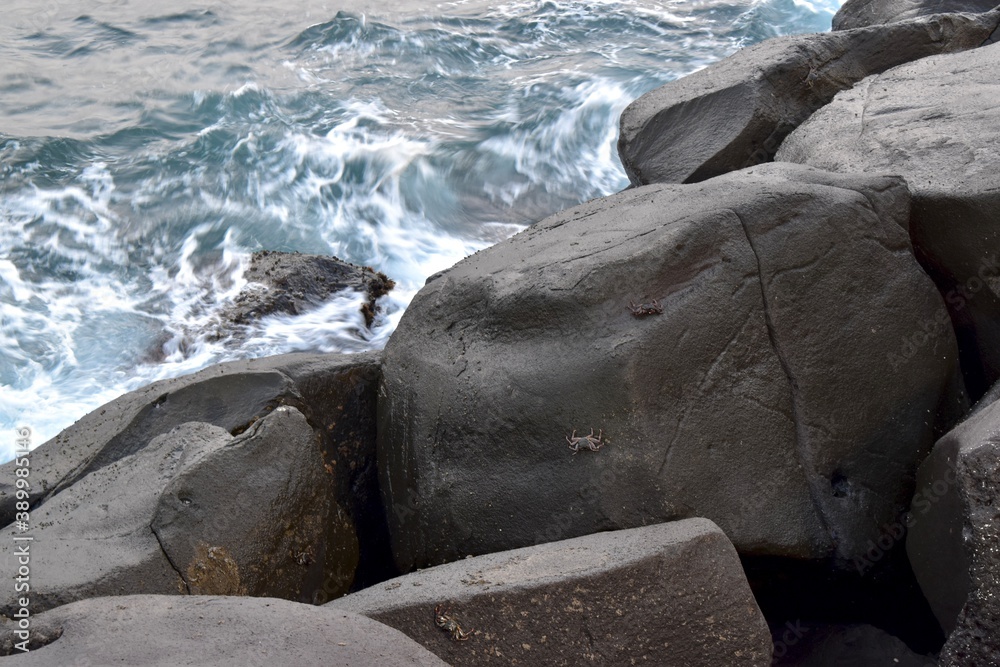 Rocks in the sea, Red Sea, Jeddah, Saudi Arabia Stock Photo | Adobe Stock
