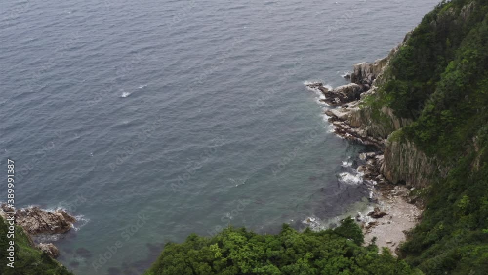 Aerial view of green forest and chigh cliffy coast of small Petrov ...
