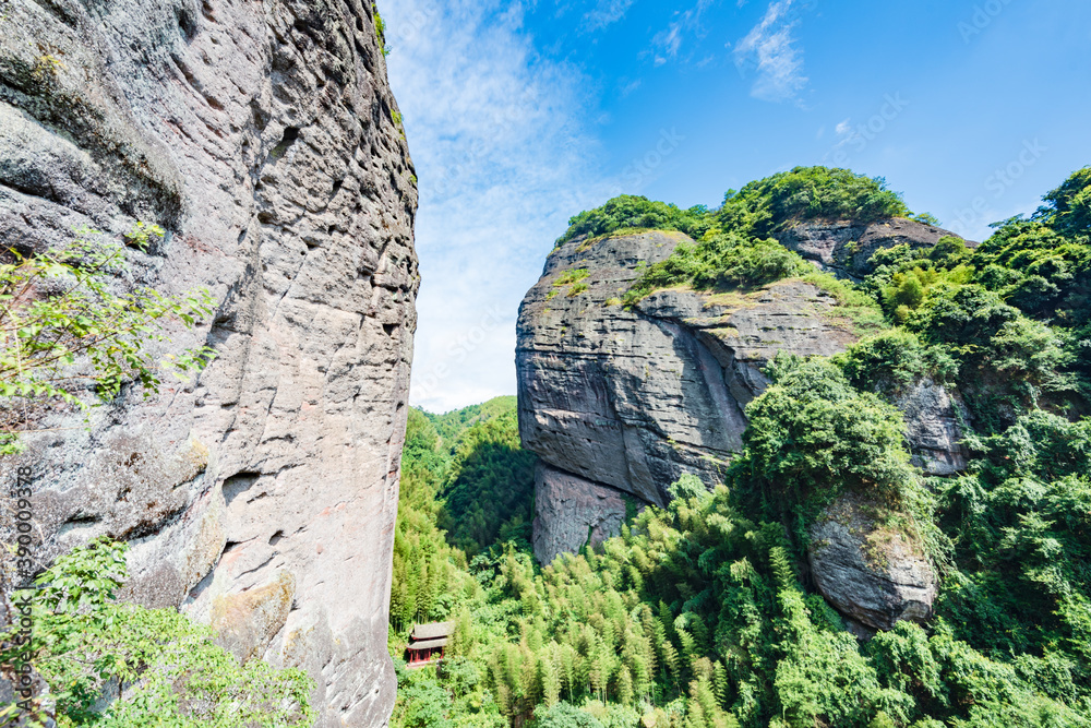 The bamboo forest valley of Tianmen Mountain, Guilin Resources, Guangxi ...