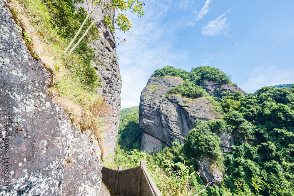 The bamboo forest valley of Tianmen Mountain, Guilin Resources, Guangxi ...