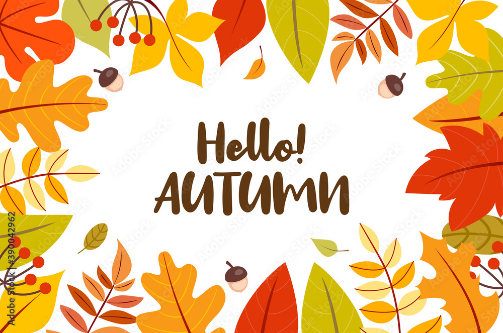Hello! Autumn frame background vector illustration. Fall Foliage leaves ...