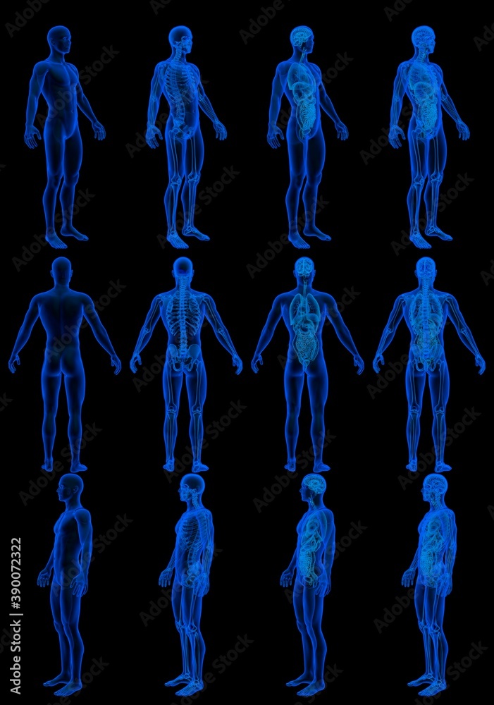 12 high detailed holographic xray renders in 1 image, man body with ...