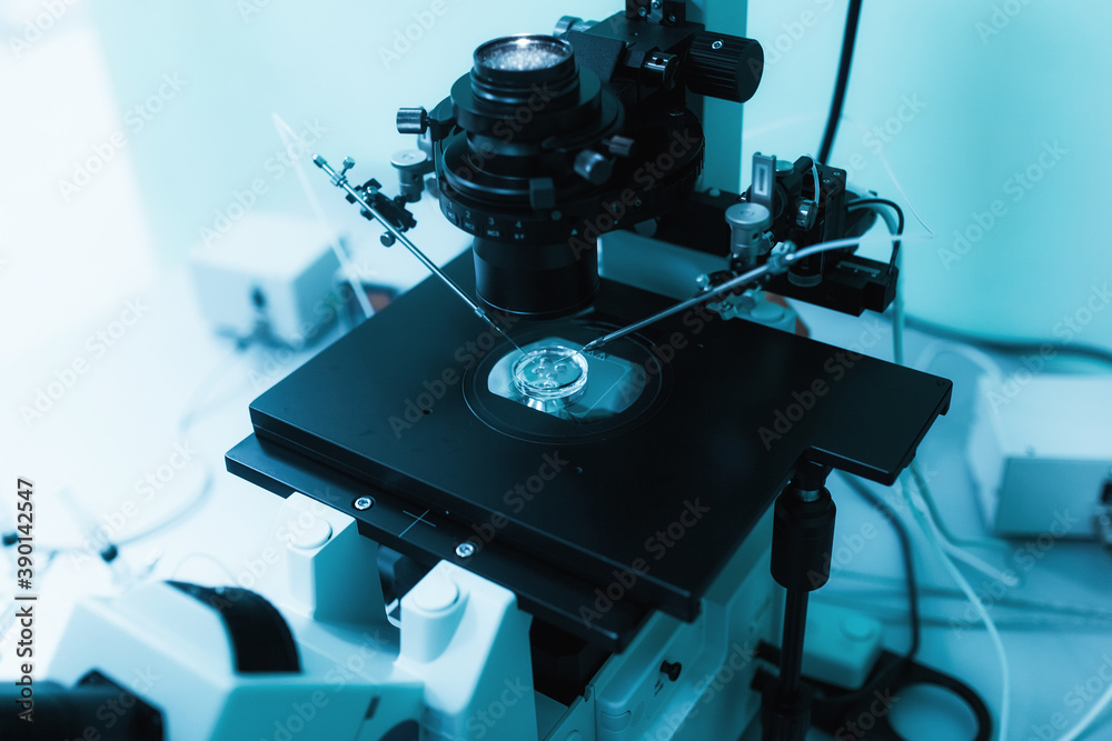Equipment on laboratory of Fertilization, IVF. Microscope of ...