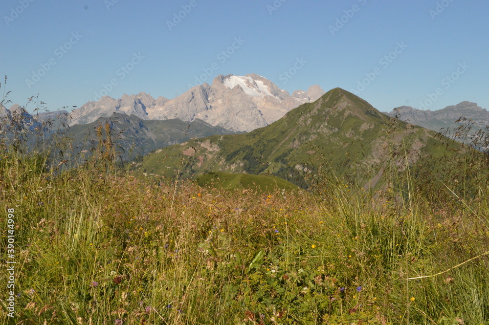 Hiking in the lush and dramatically beautiful Val di Fiemme and Passo ...