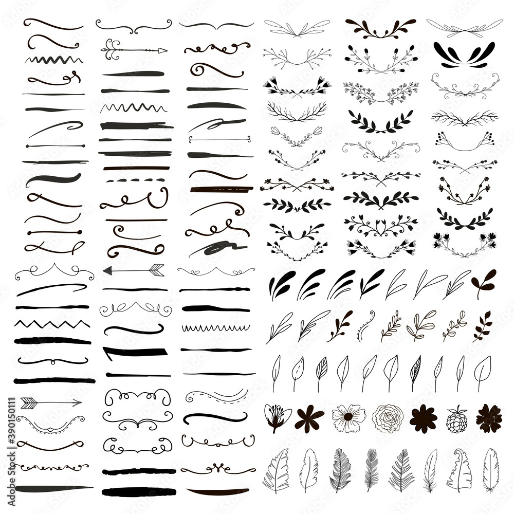 Line borders, text dividers and floral elements. Stock Vector | Adobe Stock