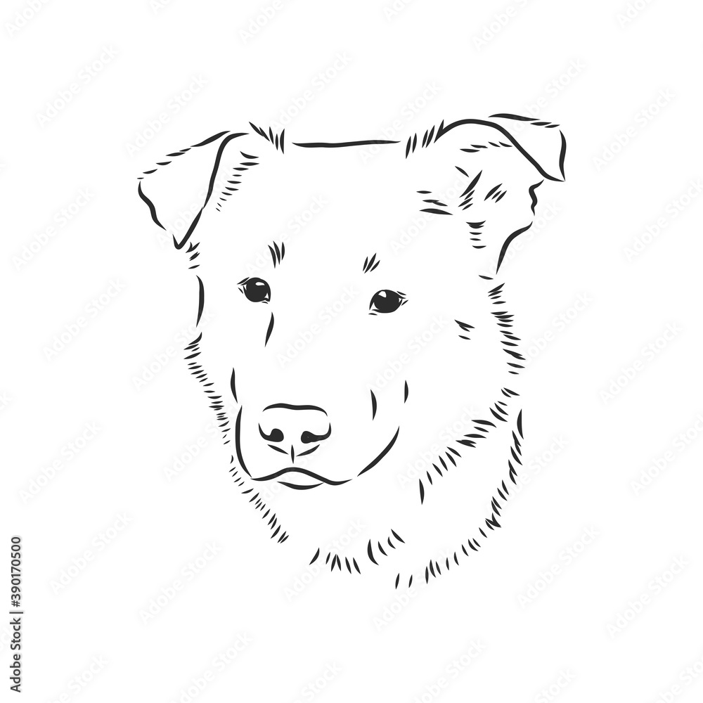 Fluffy mongrel dog vector hand drawing illustration in black color ...