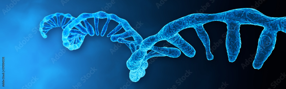 Coronavirus mRNA strand. Medical illustration. 3D rendering Stock ...