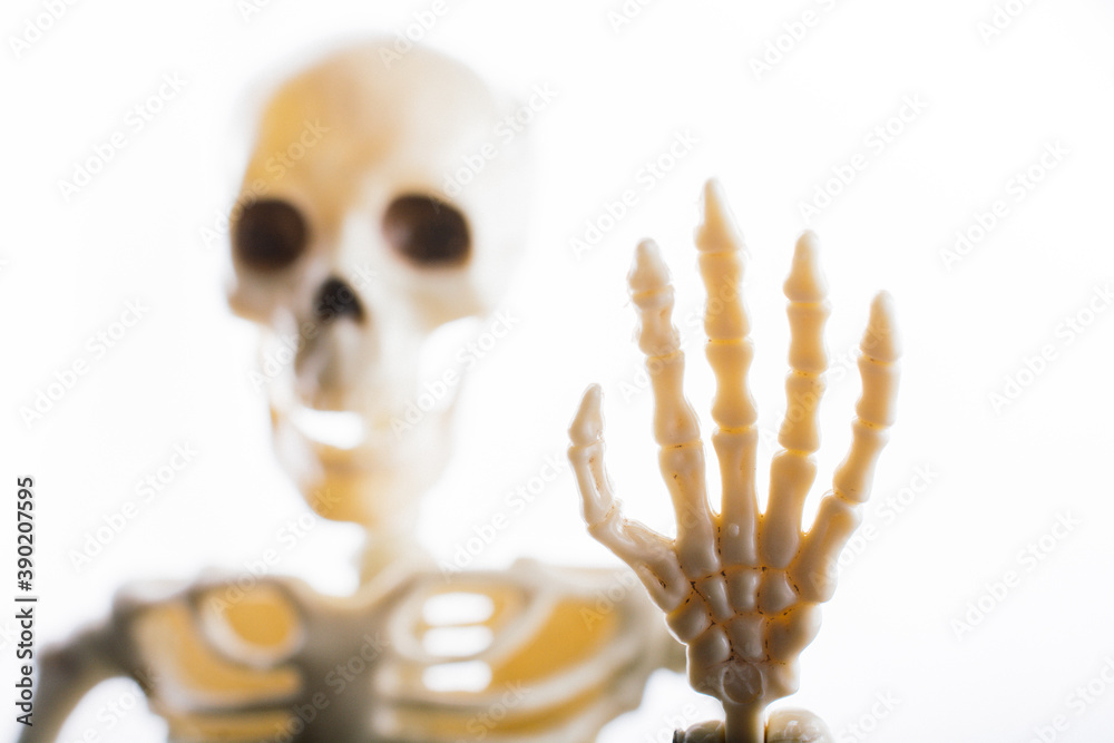 Human skeleton model posing for medical anatomy science Stock Photo ...