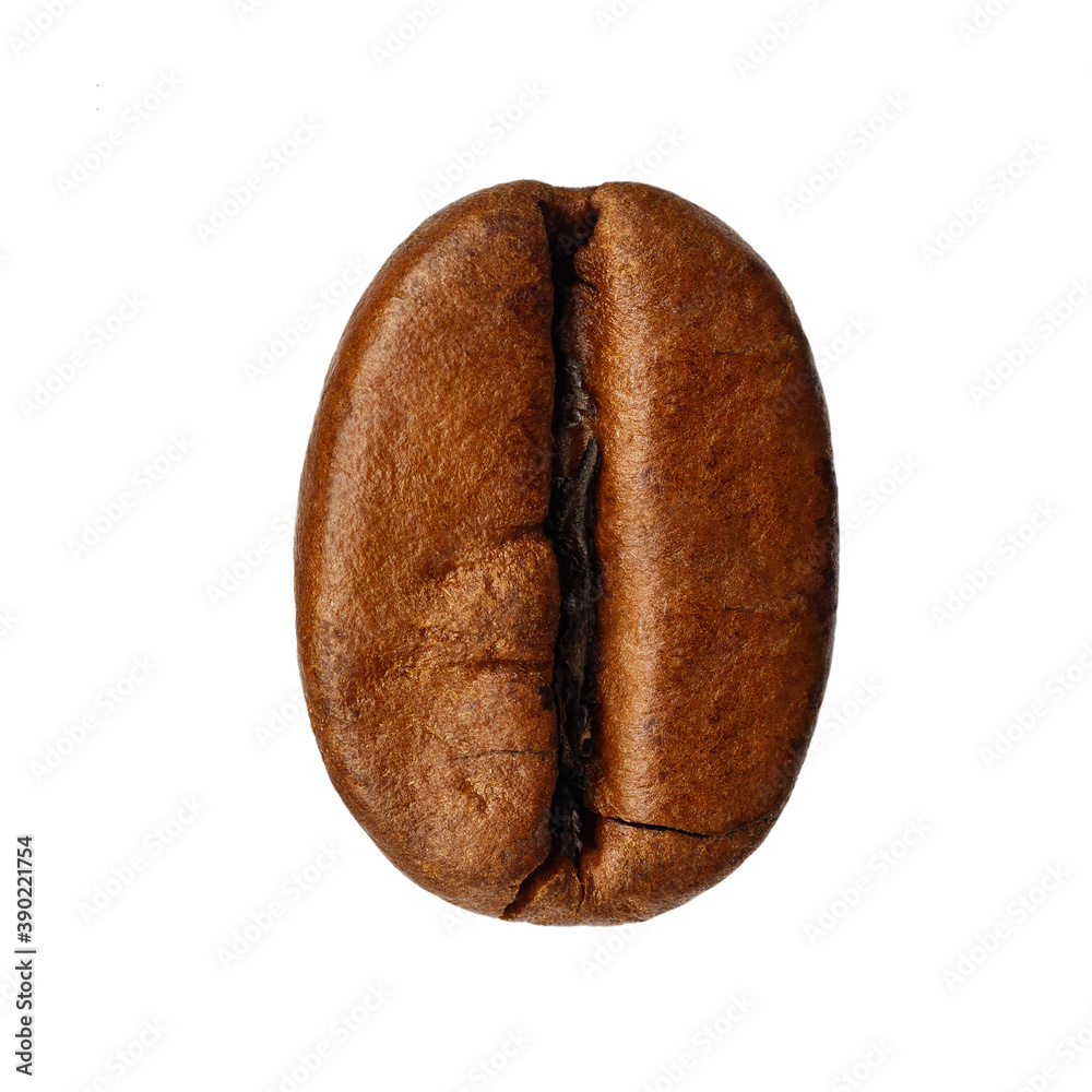 Roasted one arabica coffee bean close up isolated on white background ...