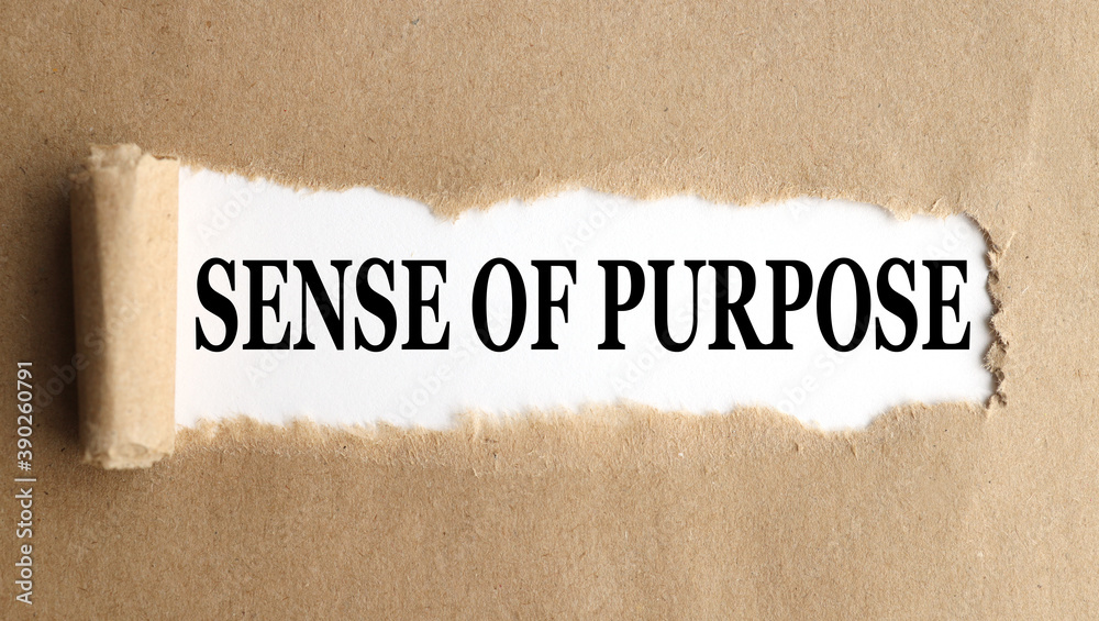 sense of purpose, text on white paper on torn paper background Stock ...