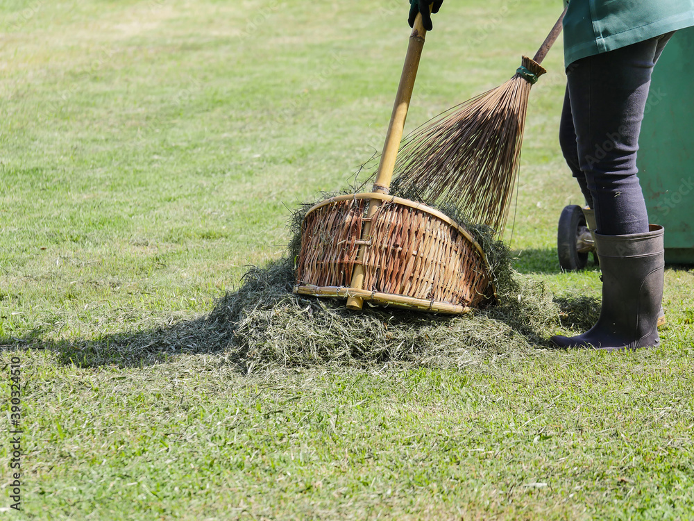 gardener use natural broom and dustpan to sweep grass leaves after lawn ...