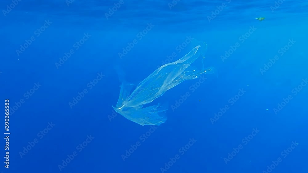 Plastic pollution. A piece of plastic bag drifts in blue water ...