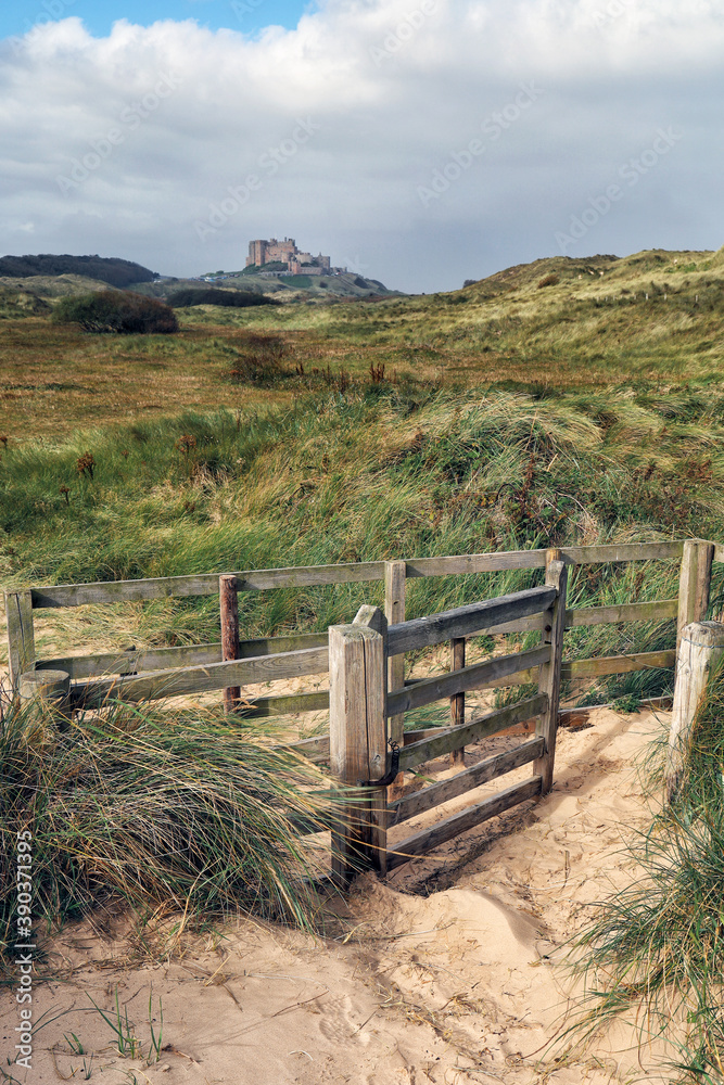 Gateway and path in sand dunes in front of Bamburgh Castle Stock Photo ...