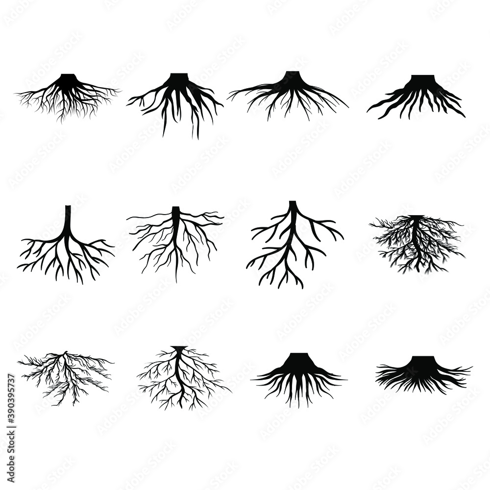 Roots vector icon set. tree illustration sign collection. herbs symbol ...