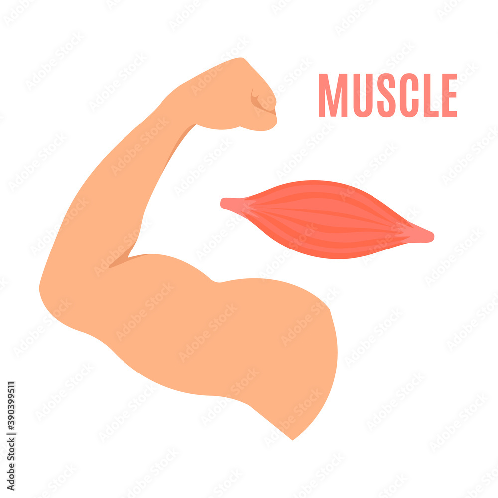 Strong hand with biceps muscle symbol. Bodybuilder and weightlifter arm ...