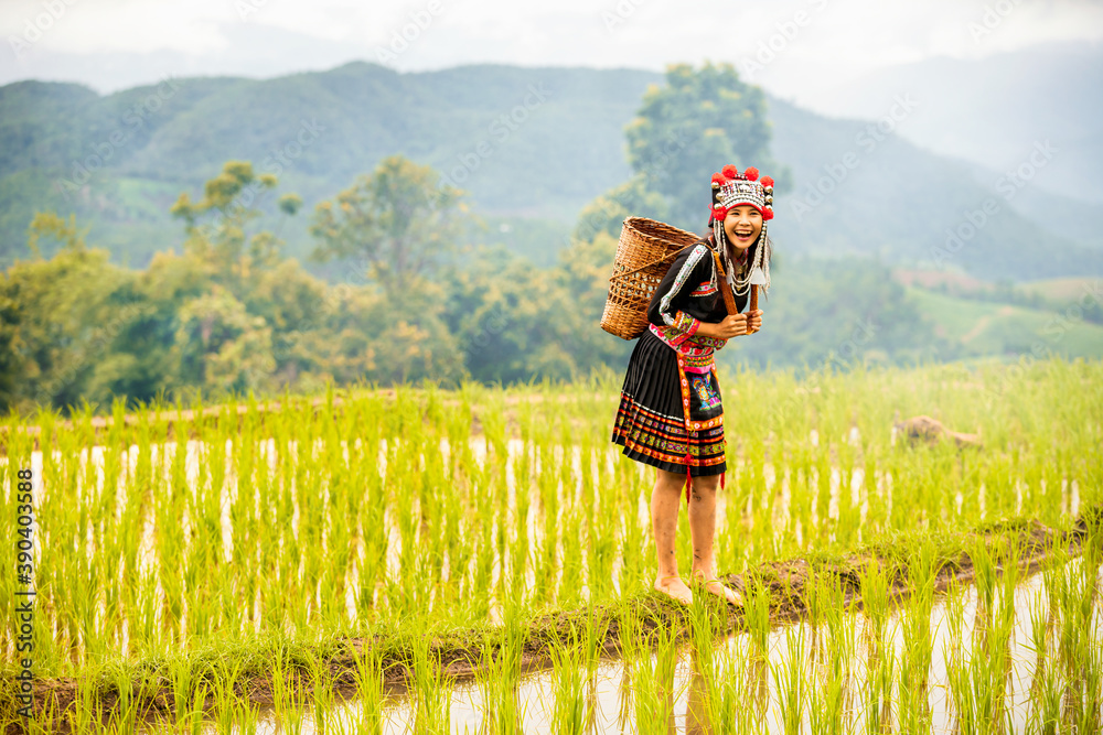 Ban Pa Bong Piang That has the most beautiful rice terraces in Thailand ...