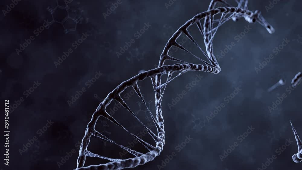 DNA double helix. 3D animation of DNA construction from nucleotide ...
