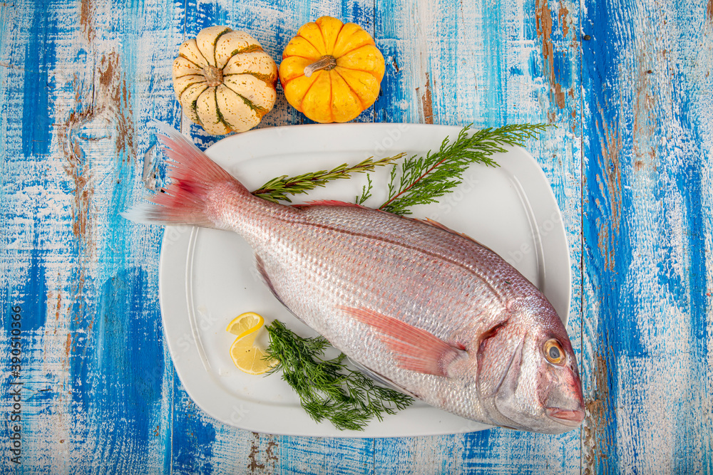 fish on a rustic wooden floor - Common dentex , Pink dentex, Dentex ...