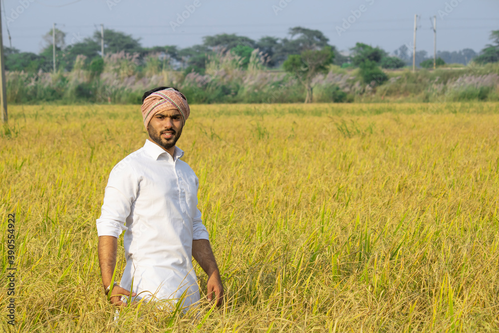 Happy Indian farmer in paddy field Stock Photo | Adobe Stock