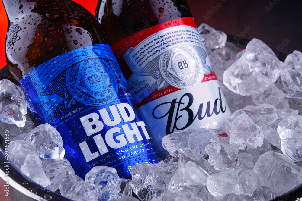 Bottles of Bud and Bud Light beer in bucket with crushed ice Stock ...