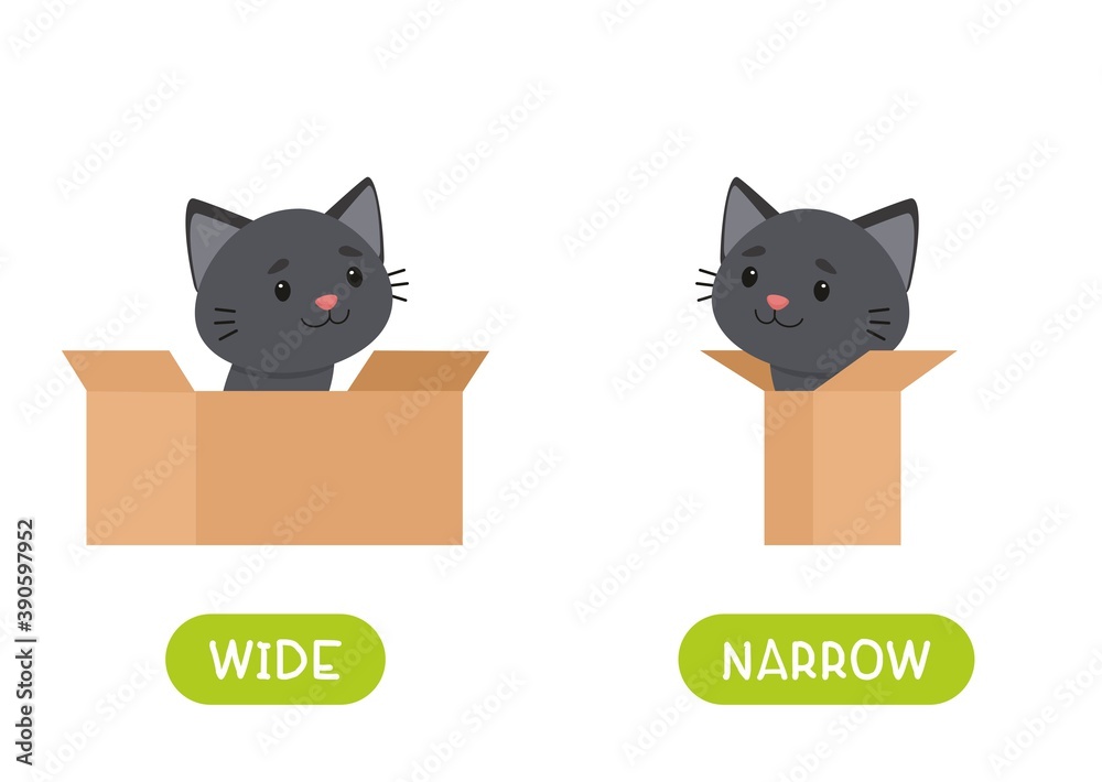 Antonyms concept, WIDE and NARROW. Educational flash card with ...