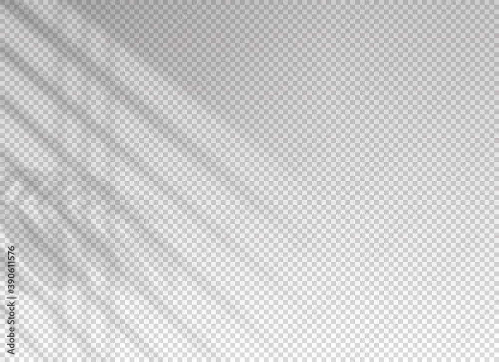 Shadow of window blinds. Shade on transparent background. Overlay ...