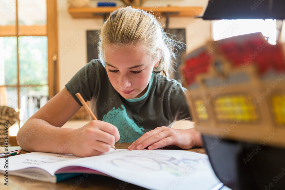 12 year old girl drawing in sketch pad at home Stock Photo | Adobe Stock