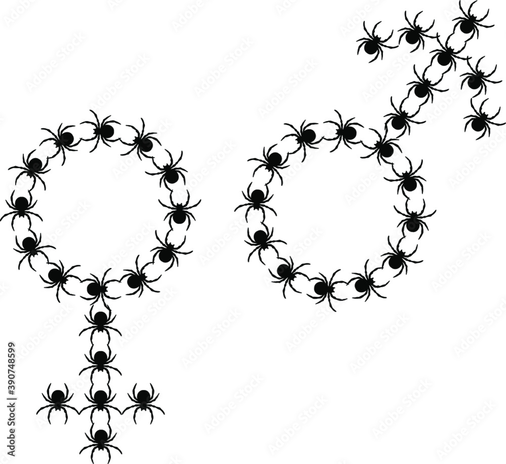 Black spiders in the shape of man and woman symbol. Black spiders ...