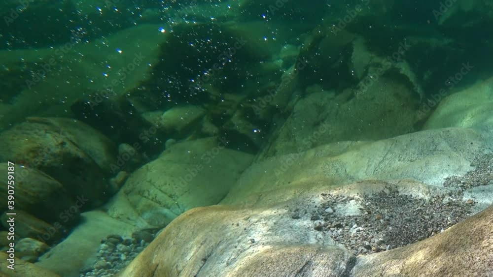 Underwater view of fast flowing waters of mountain pure river and ...