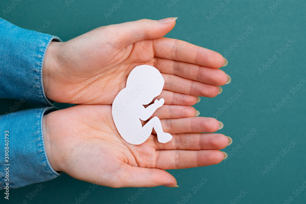 Female hands hold a paper-cut silhouette of a fetus. Green background ...