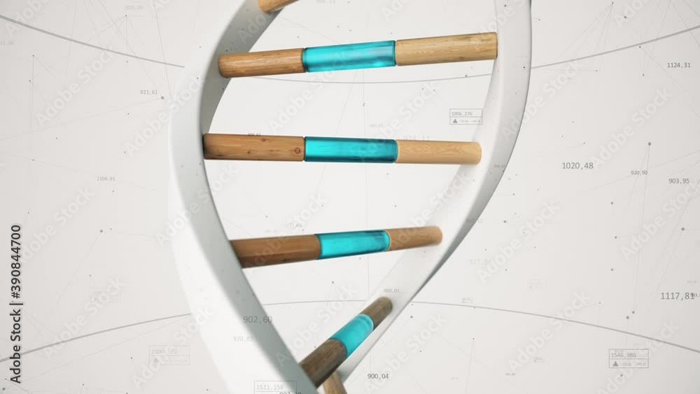 The structure of the human DNA rotates against the background of ...