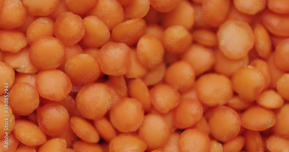 Stop Motion. Red Lentils. Animated Background. Loop. Top View. Healthy ...