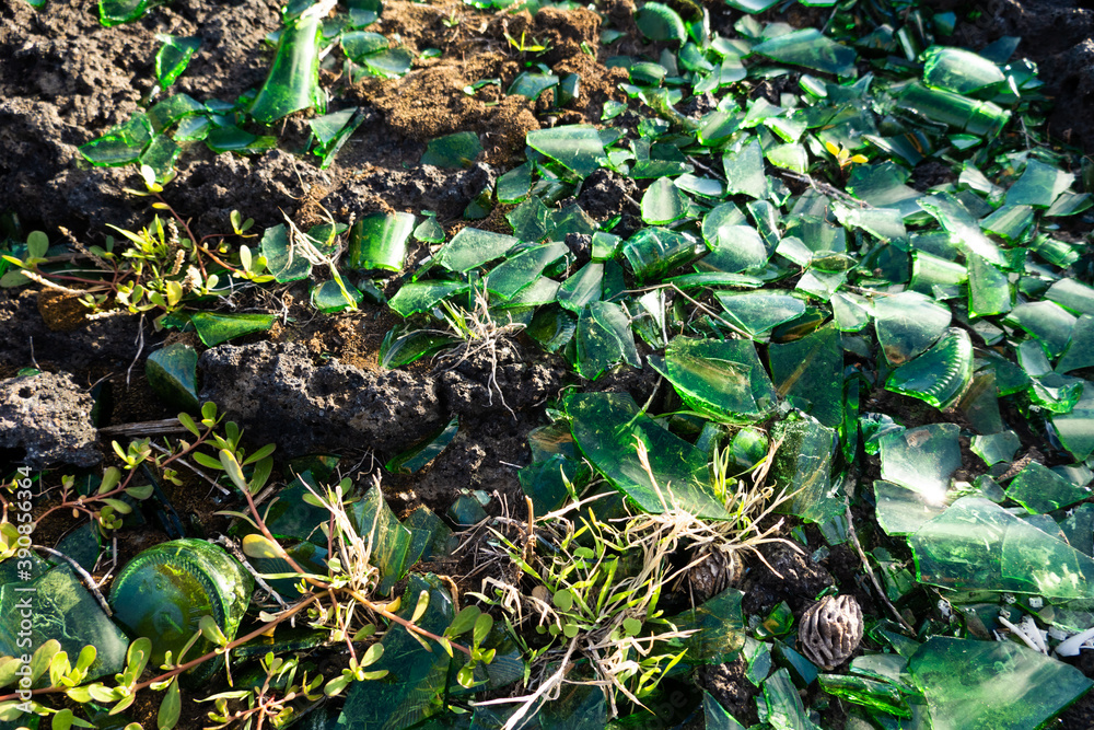 Shards of crushed emerald green glass bottles on black lava rock and ...
