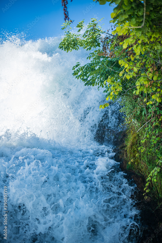Gros plan de végétation luxuriante au bord d'une cascade puissante du ...