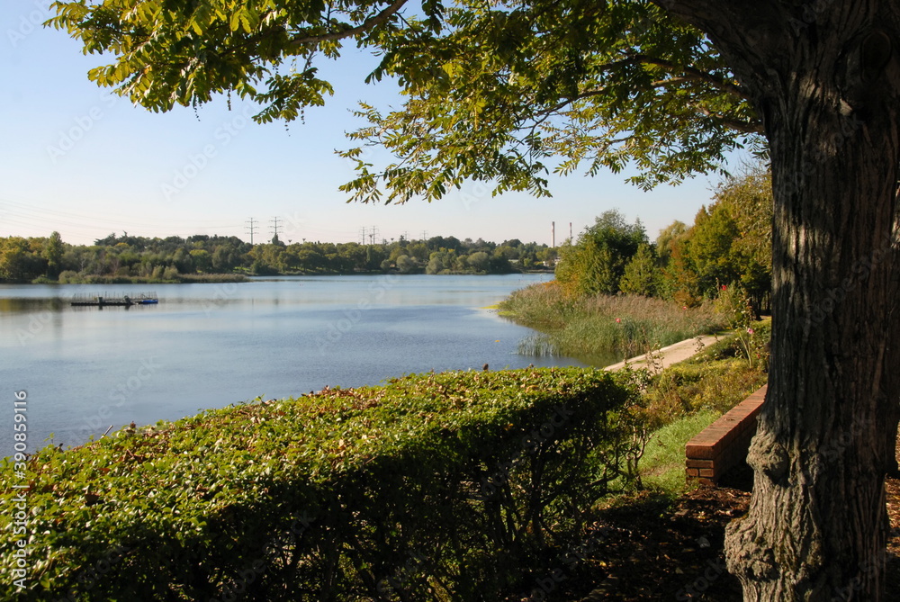 Ville de Créteil, le lac de Créteil, haie verte et arbre, département ...