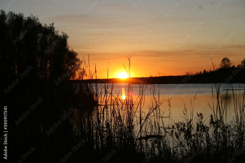 Cattails and Sunset at Marsh Park in Sheboygan, Wisconsin, USA. Stock ...