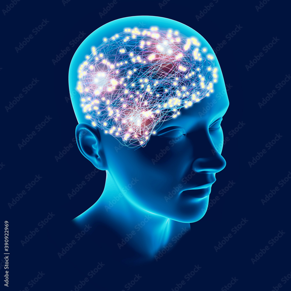 Brain development in children and teens. Stimuli and ideas. How neurons ...