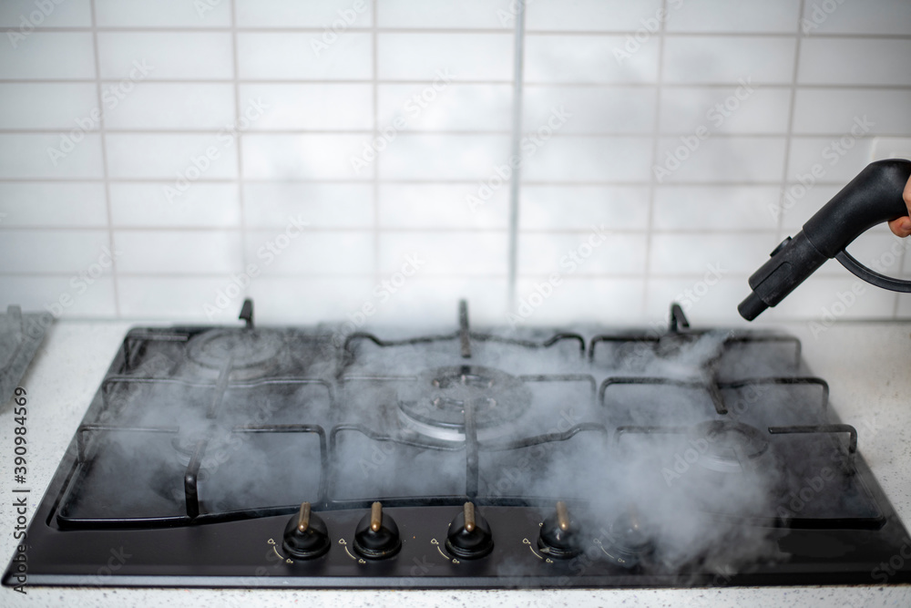 steam disinfection and sanitization of the house, steam treatment of ...