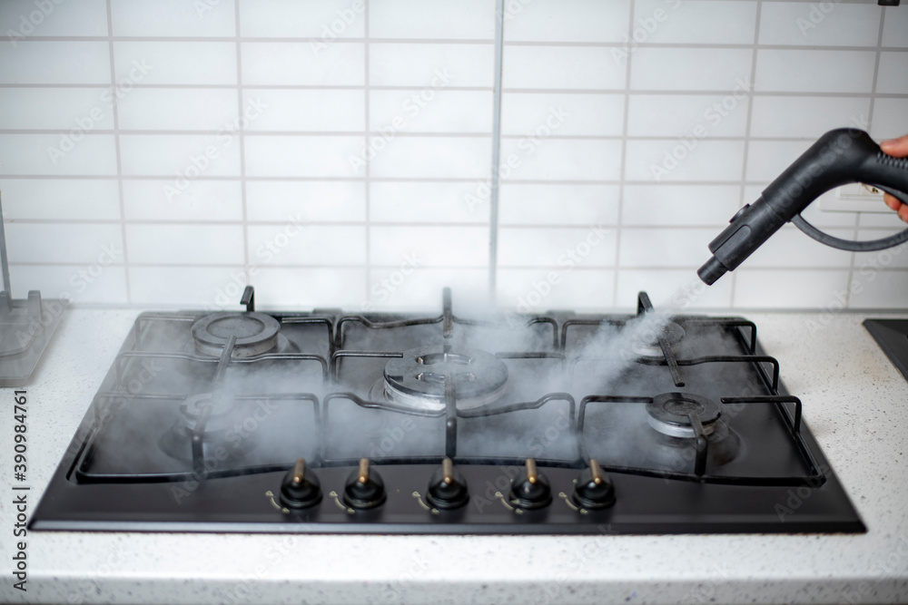 steam disinfection and sanitization of the house, steam treatment of ...