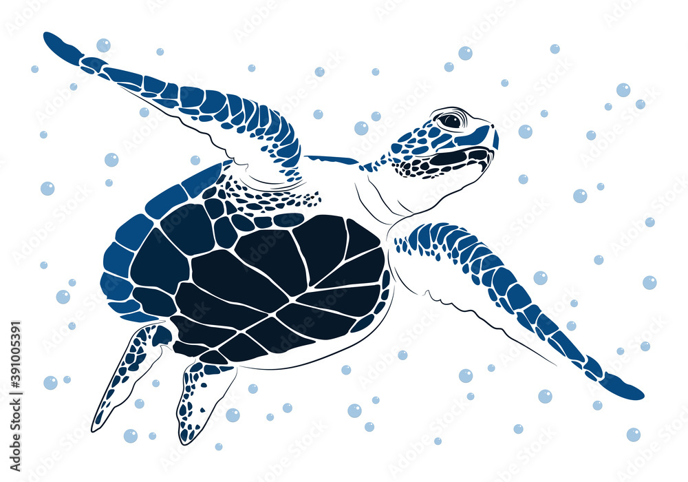 graphic sea turtle,vector illustration of sea turtle,vector of turtle ...